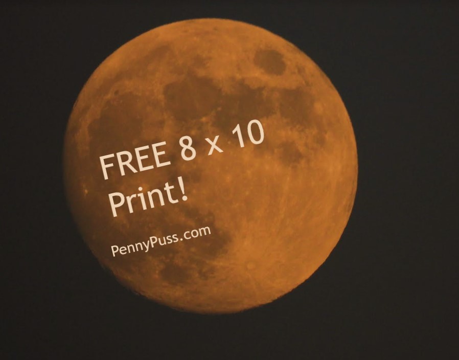Walgreens - FREE 8 x 10 print!